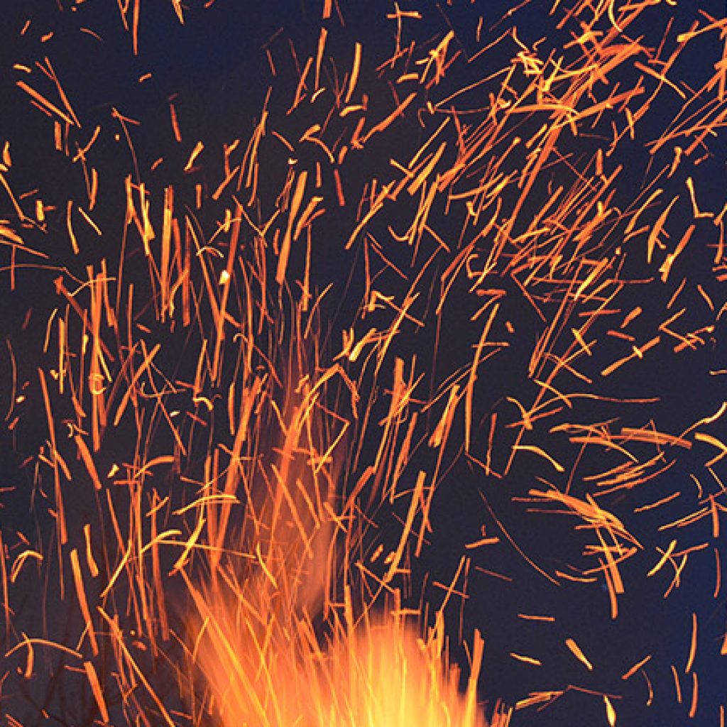 ¿Qué es pellet? Conoce todo sobre este tipo de combustible - Amesi.cl